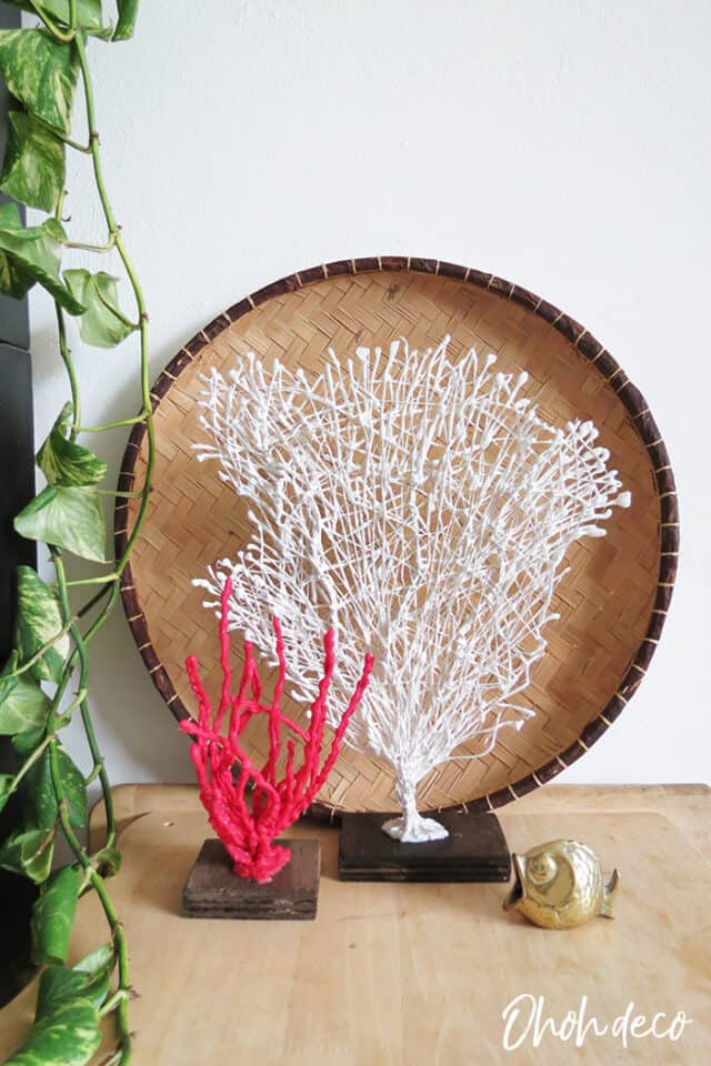 DIY Coral