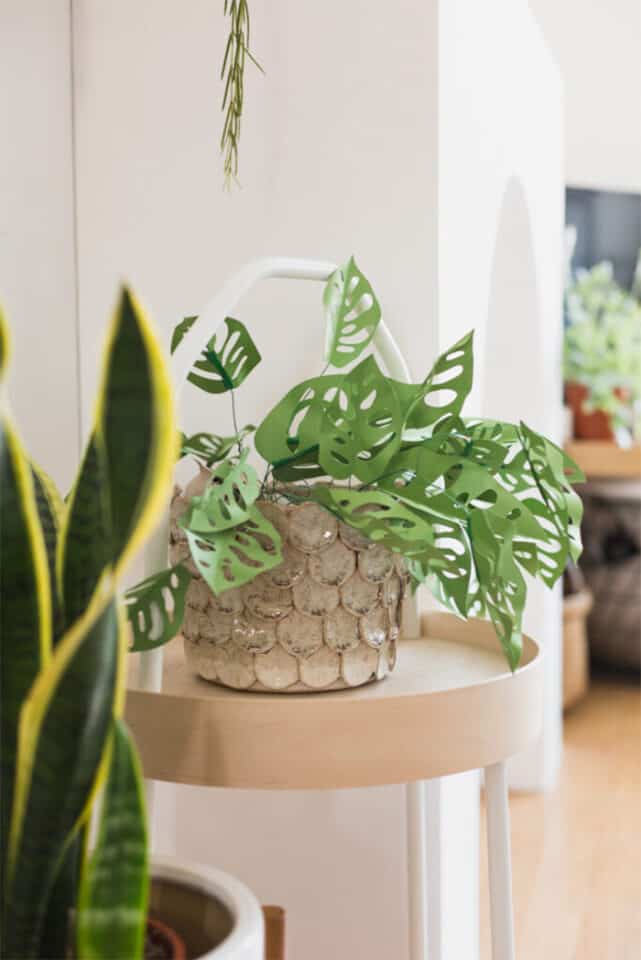 DIY fake plants: 30 fun and with unexpected ideas
