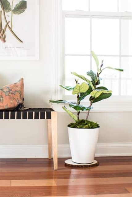 DIY fake plants: 30 fun and with unexpected ideas