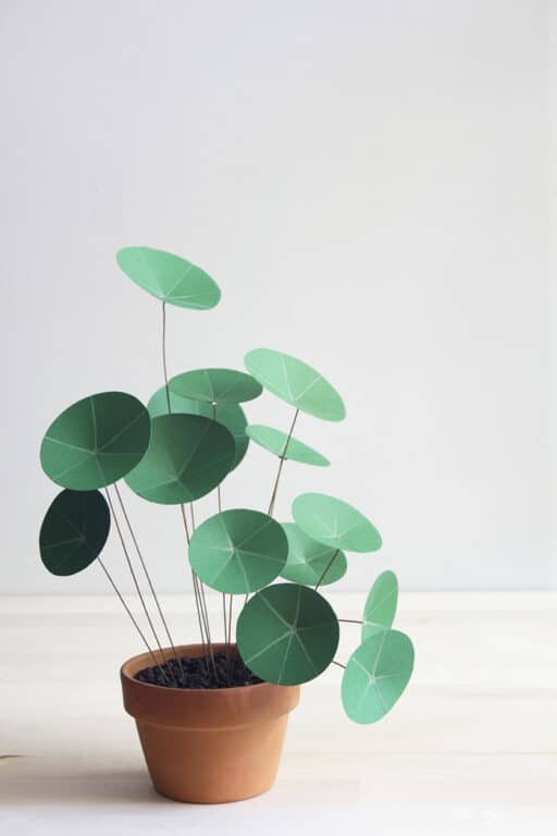 DIY fake plants: 30 fun and with unexpected ideas