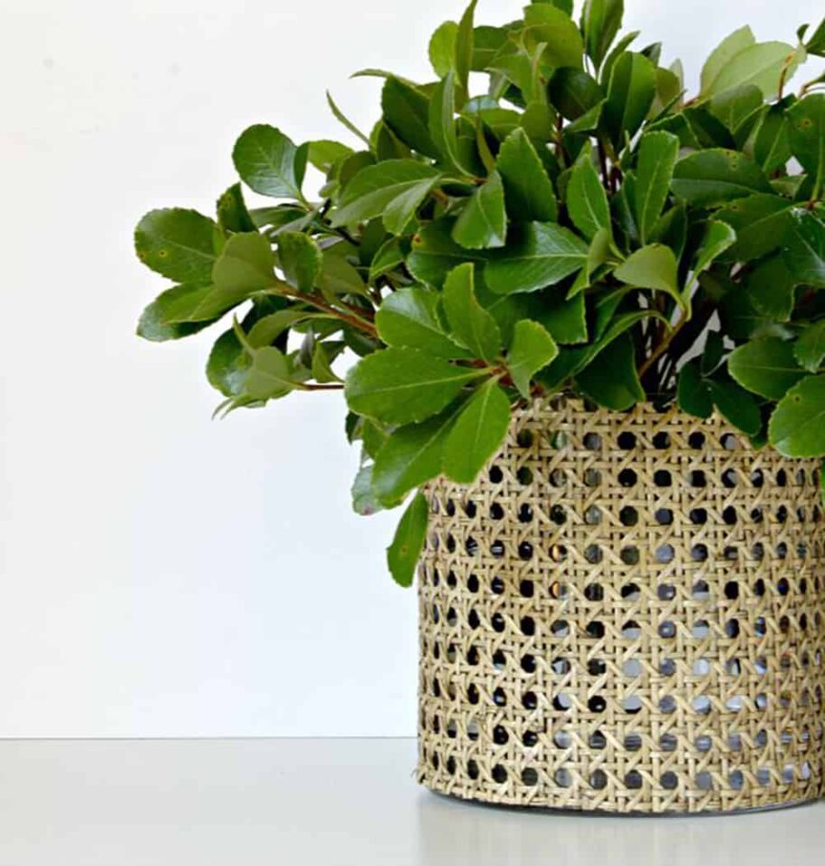 How to DIY with rattan