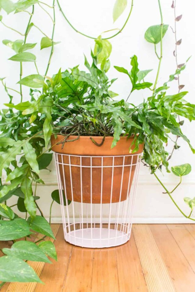 70 easy to make DIY planters