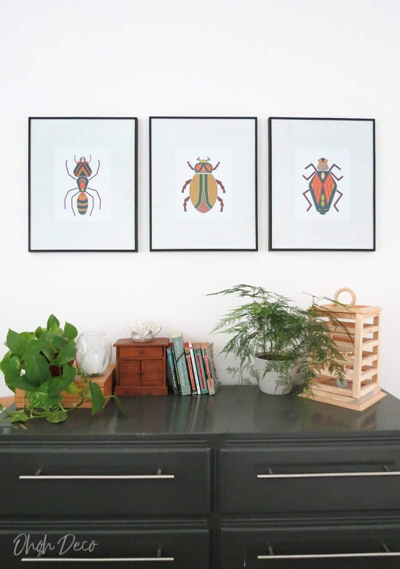 Grab these bugs wall art prints