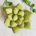 Succulent Pillow Pattern, an easy sewing project