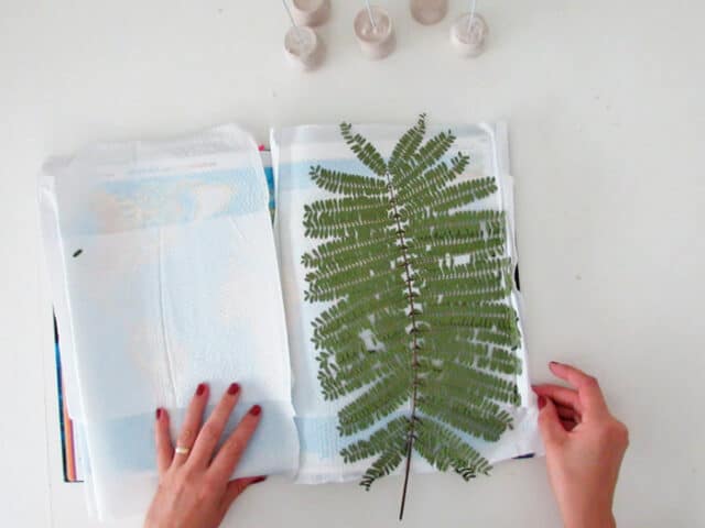 How to use Leaves as Decoration