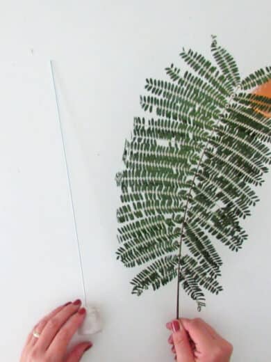 How to use Leaves as decoration