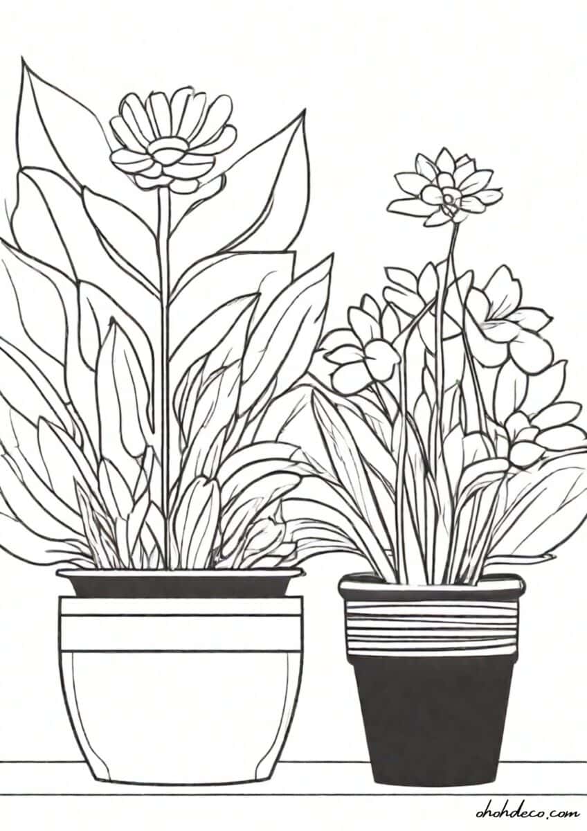 Explore the Beauty of Spring with These 32 Free Coloring Pages