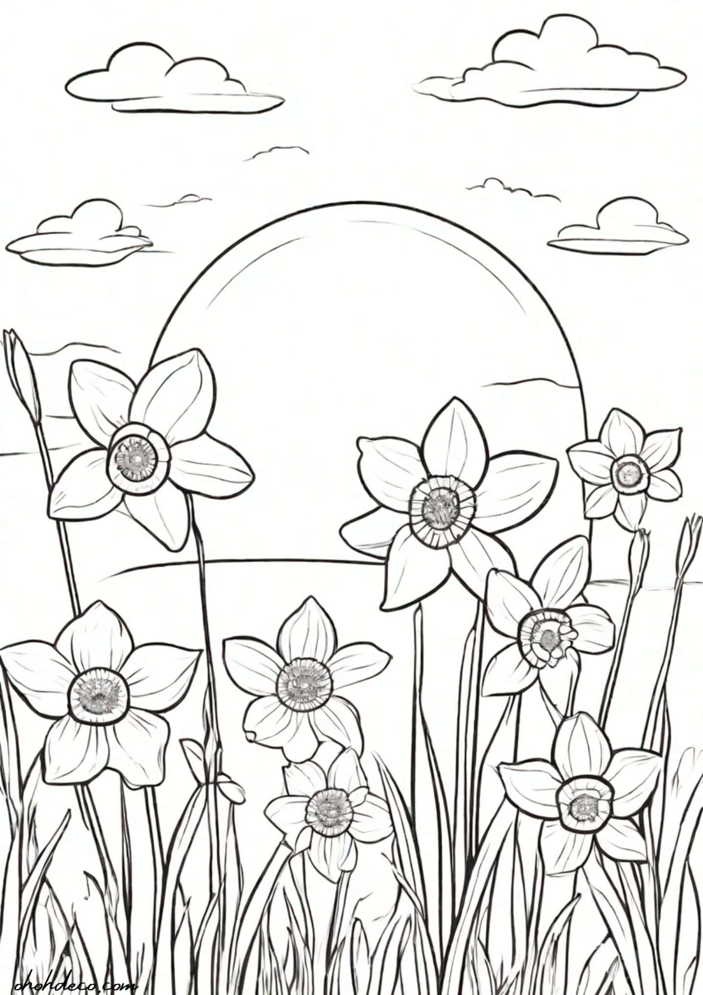 Spring-coloring-page-daffodil-1 - Ohoh deco