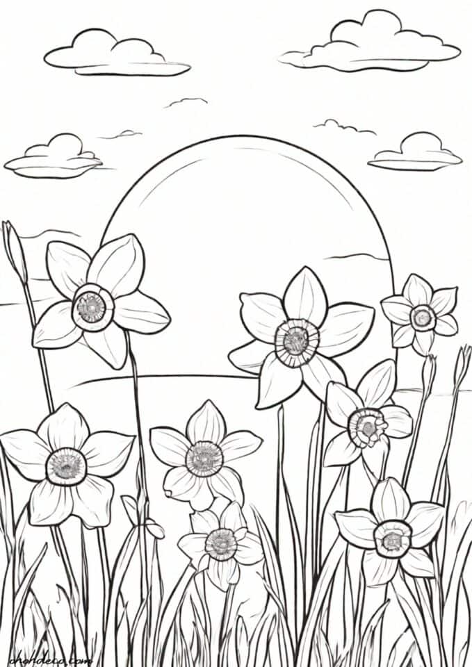 Spring-coloring-page-daffodil-1 - Ohoh deco