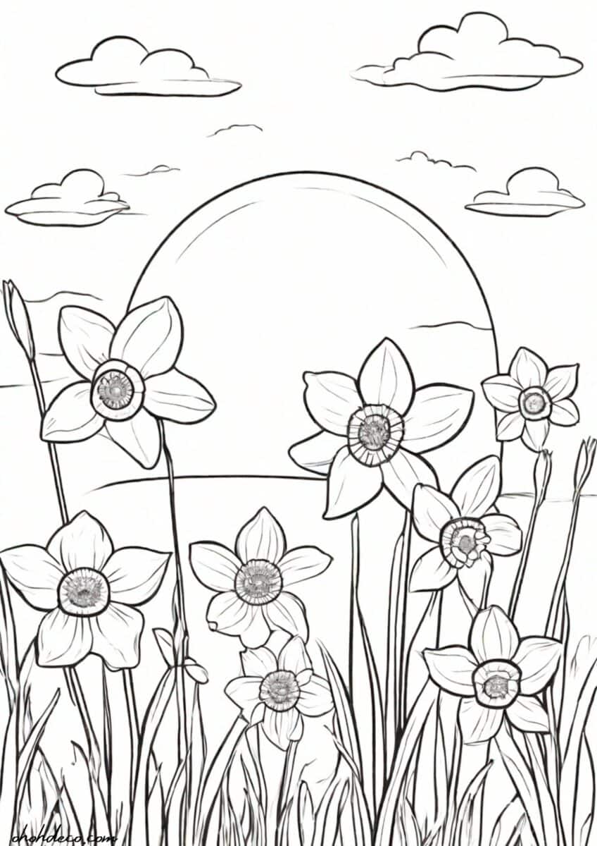 Spring-coloring-page-daffodil-1 - Ohoh deco