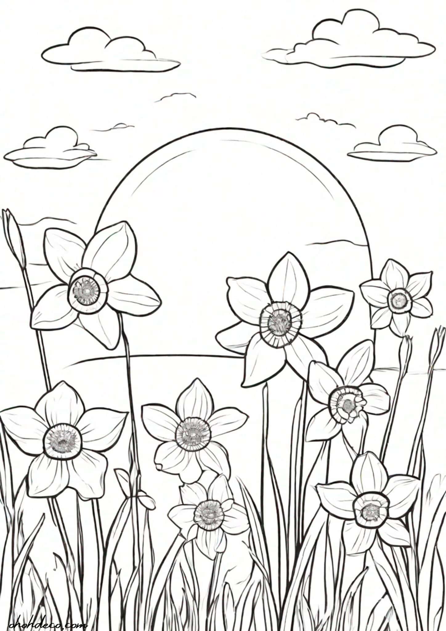 Explore the Beauty of Spring with These 32 Free Coloring Pages