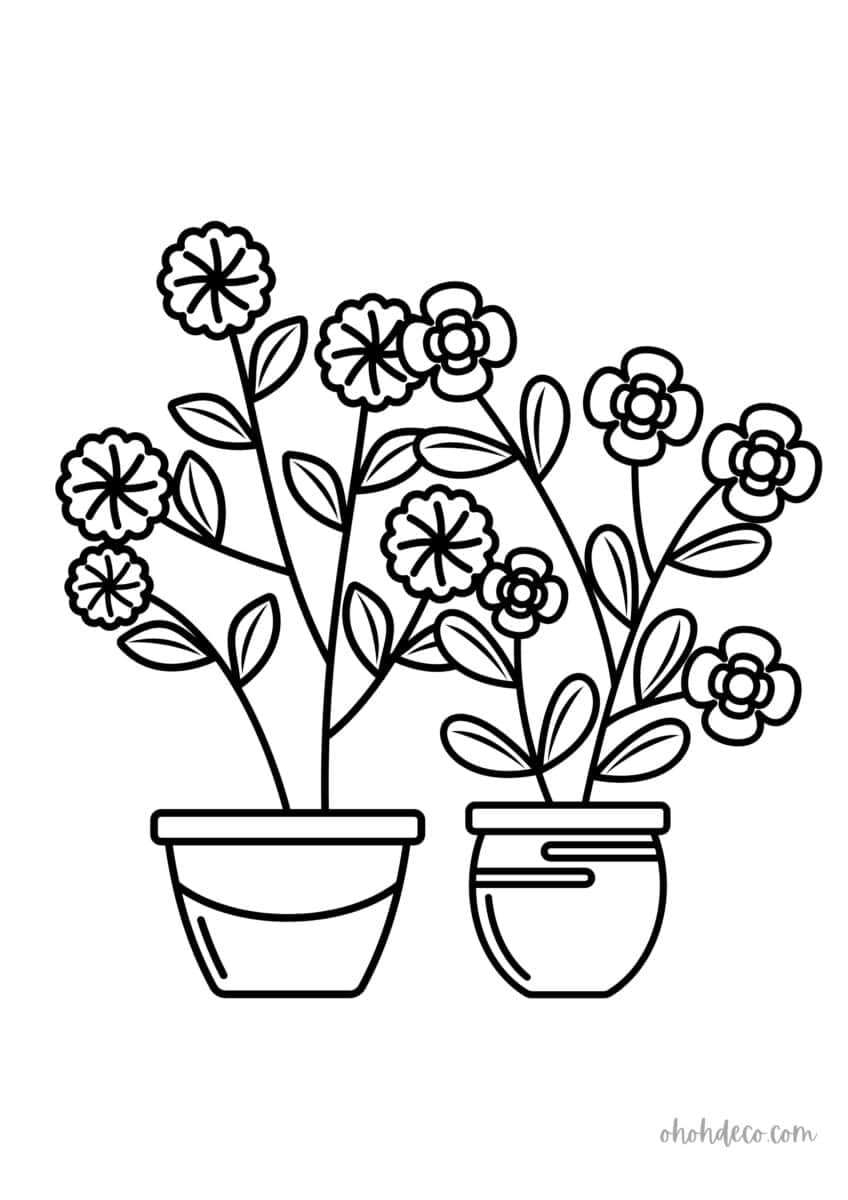Unconventional 34 Plant Coloring Pages That Will Spark Your Creativity