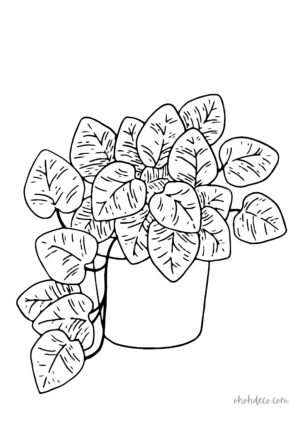 indoor-plant-coloring-page - Ohoh deco
