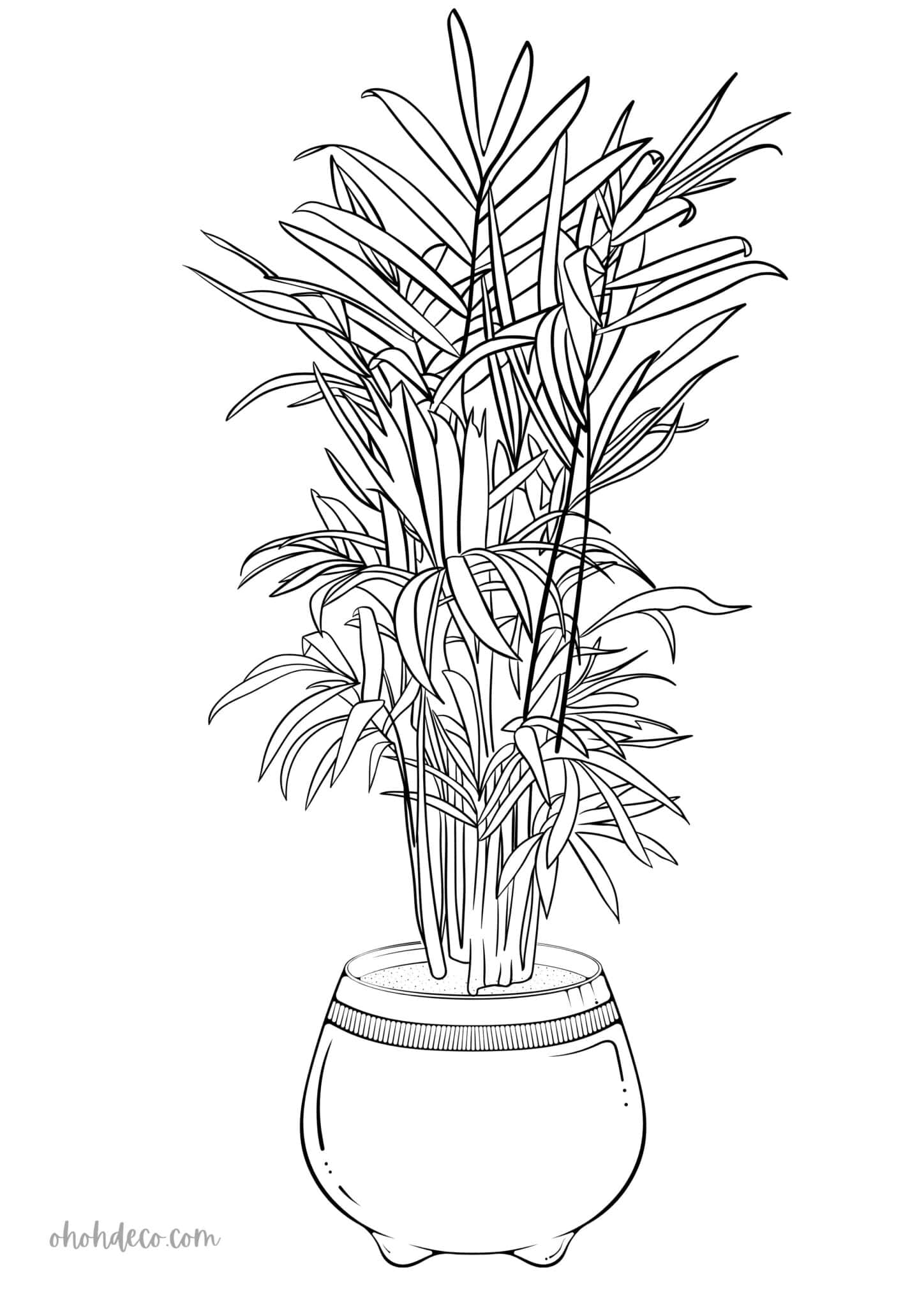 Unconventional 34 Plant Coloring Pages That Will Spark Your Creativity