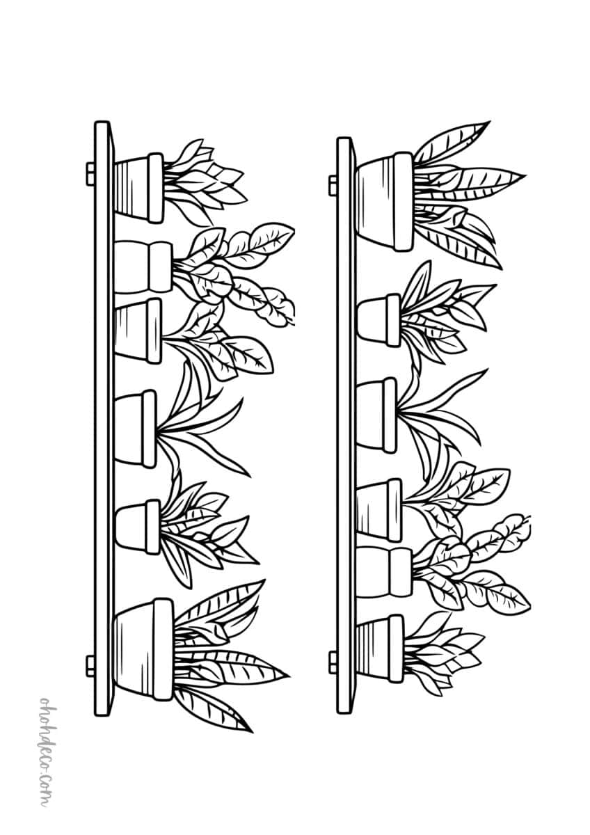 plants-on-shelves-coloring-page - Ohoh deco