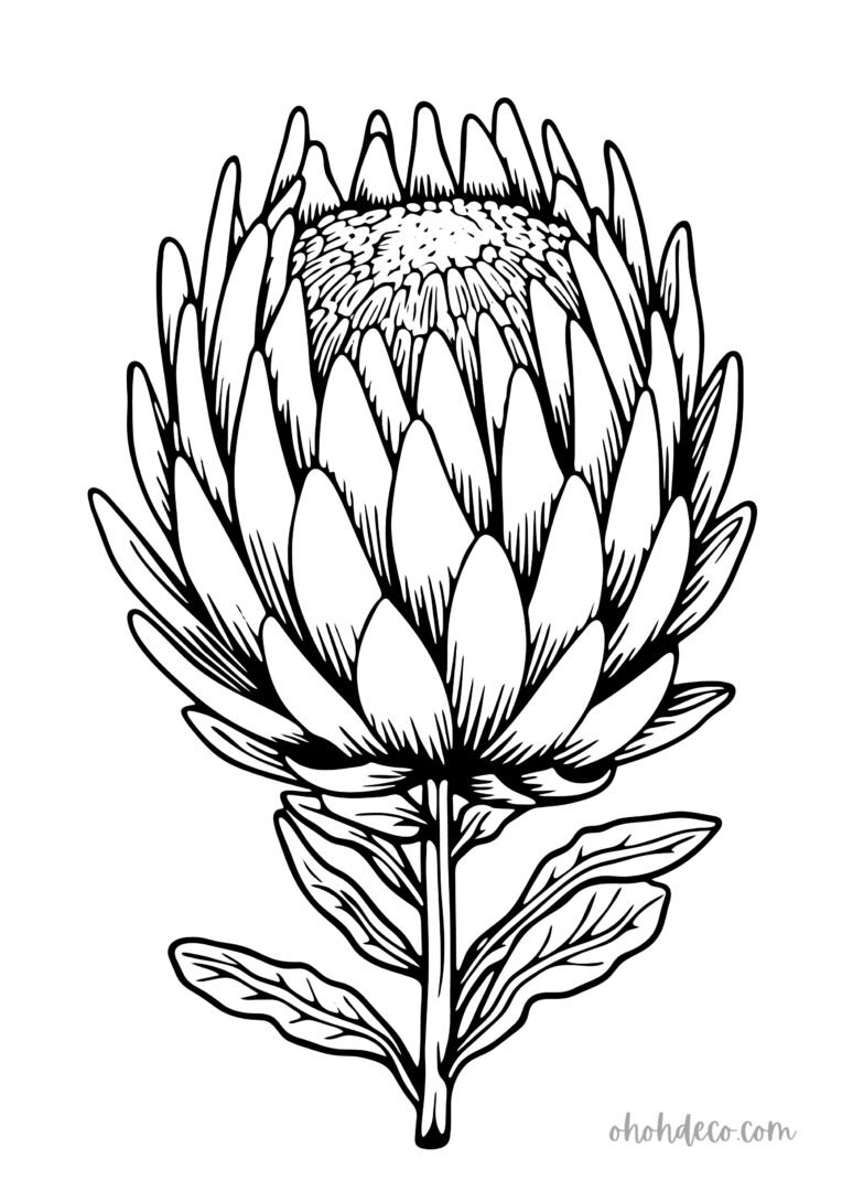Unlock Your Creativity with These Enchanting Flower Coloring Pages