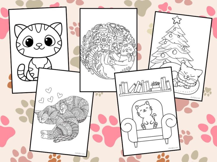 50 Mind-Blowing Cat Coloring Pages for Kids and Adults