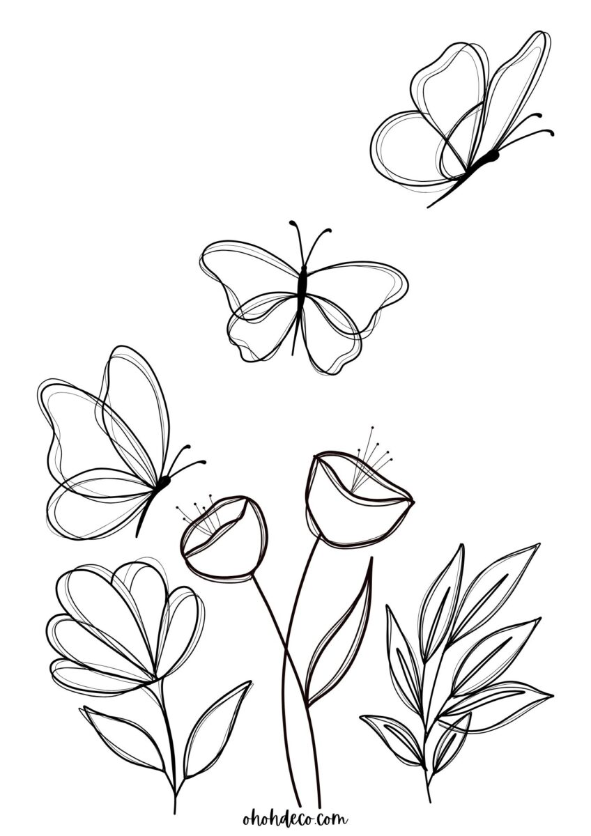 Butterfly Coloring Pages: 80 free PDF for Kids and Adults