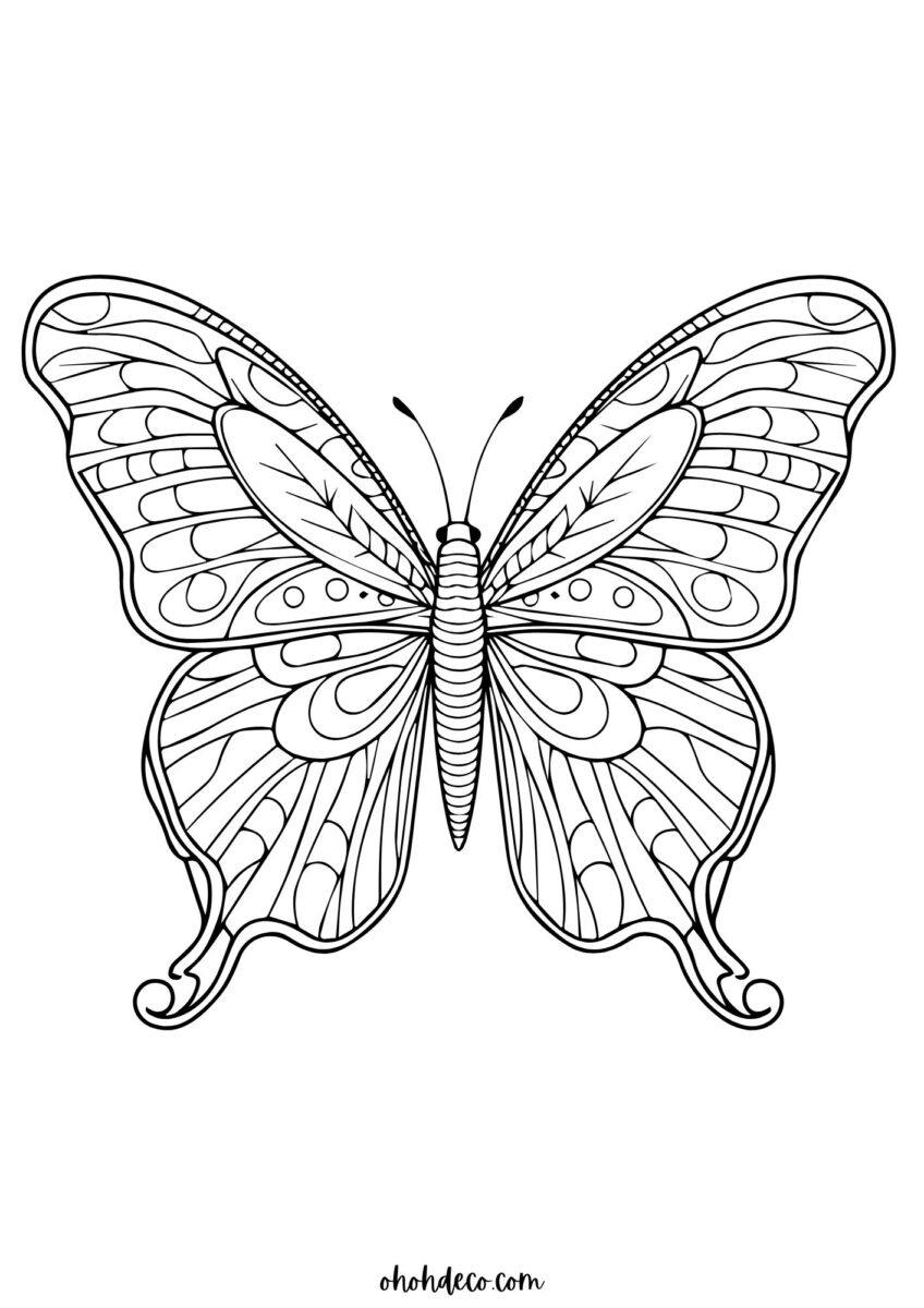 Butterfly Coloring Pages: 80 free PDF for Kids and Adults