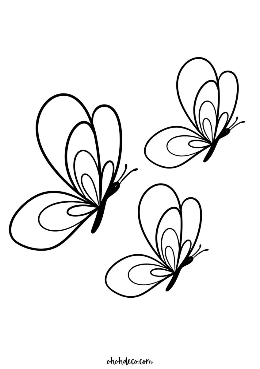 Butterfly Coloring Pages: 80 free PDF for Kids and Adults