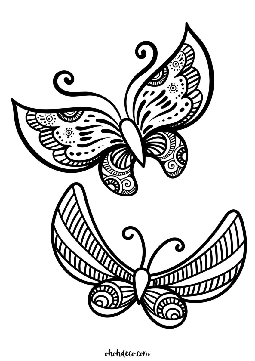 Butterfly Coloring Pages: 80 free PDF for Kids and Adults